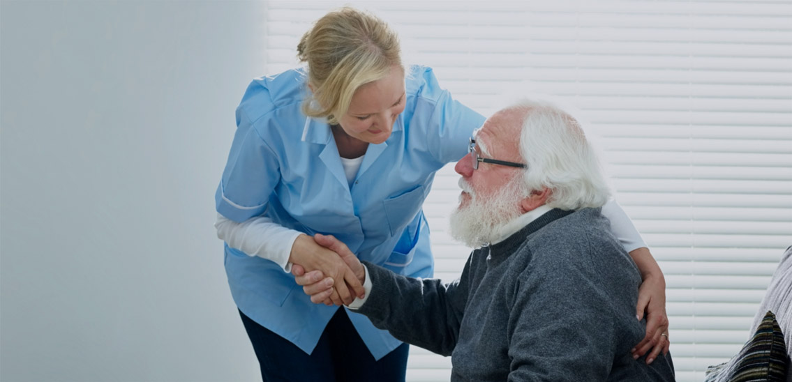 Business areas – Allmed